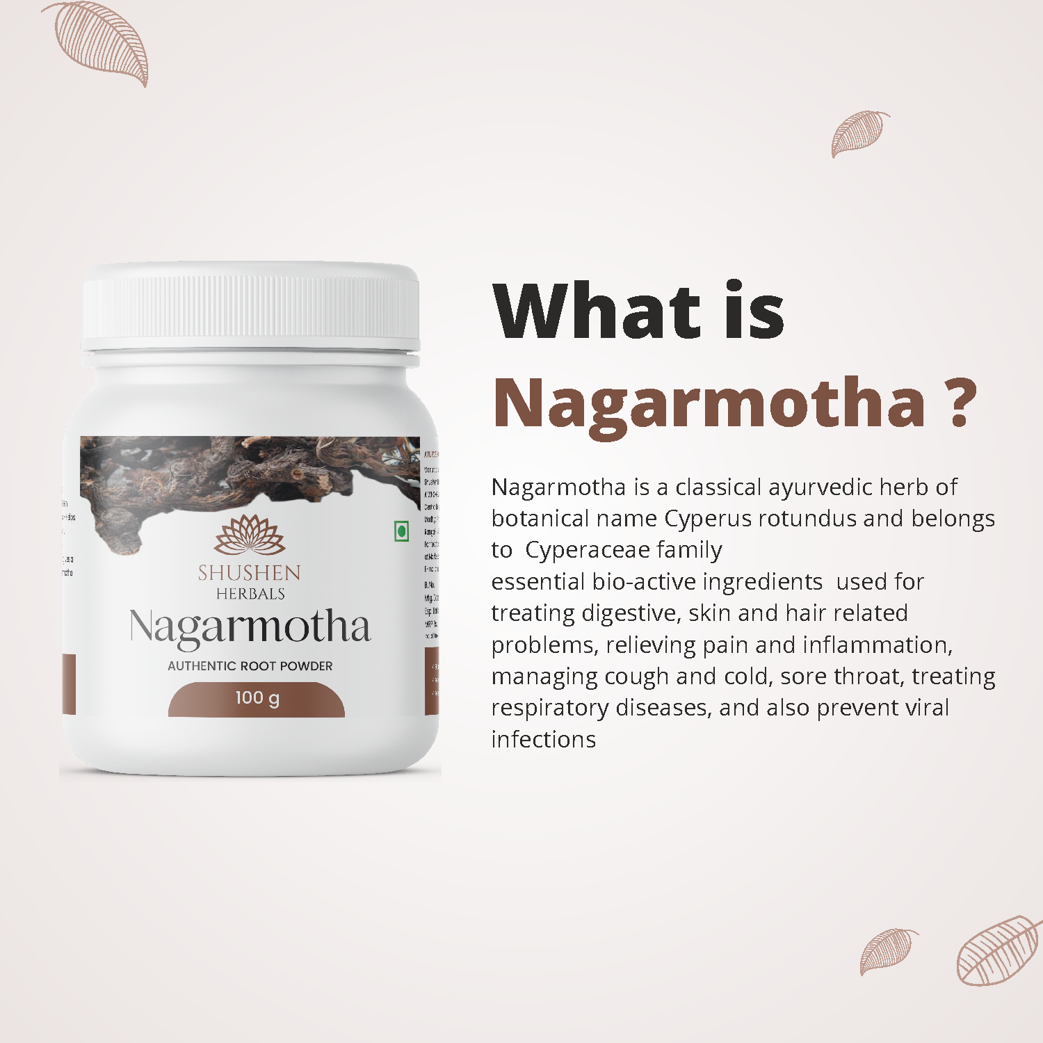 Nagarmotha Ayurvedic Powder | Shushen Herbal Authentic Ayurvedic Churna ...